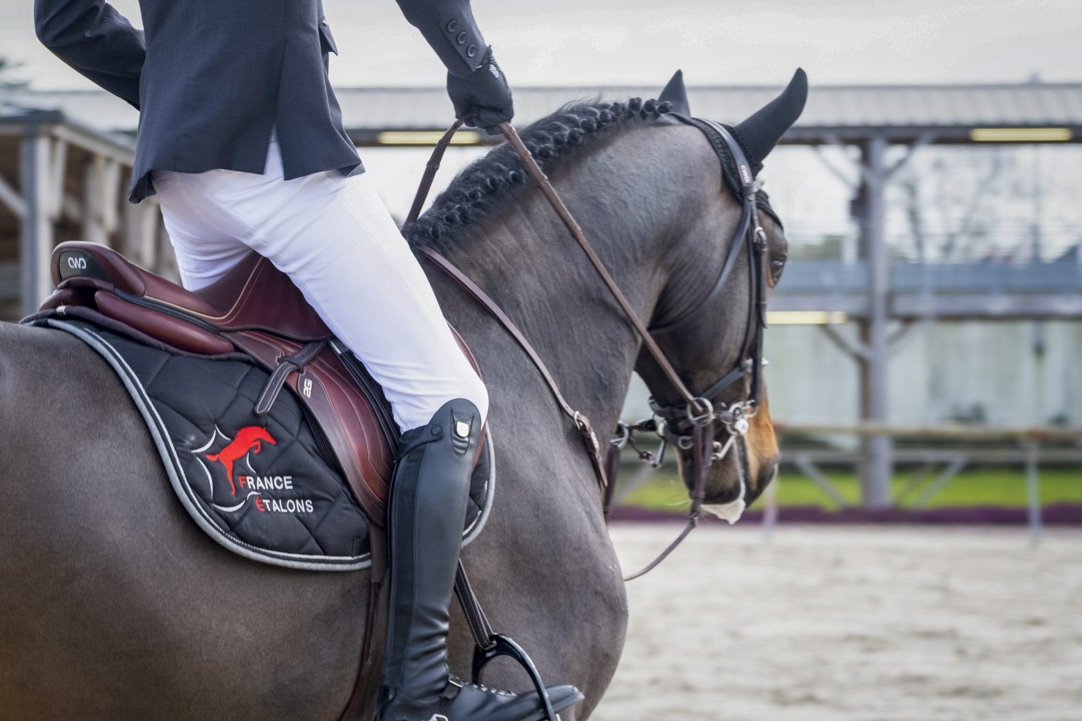 À propos - France Étalons