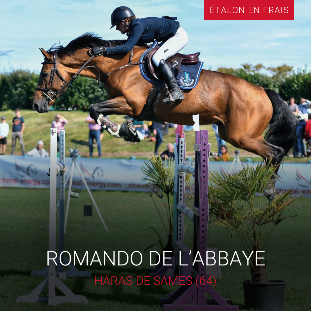 𝐑𝐎𝐌𝐀𝐍𝐃𝐎 𝐃𝐄 𝐋’𝐀𝐁𝐁𝐀𝐘𝐄, disponible en frais au Haras de Sames ! - France ...