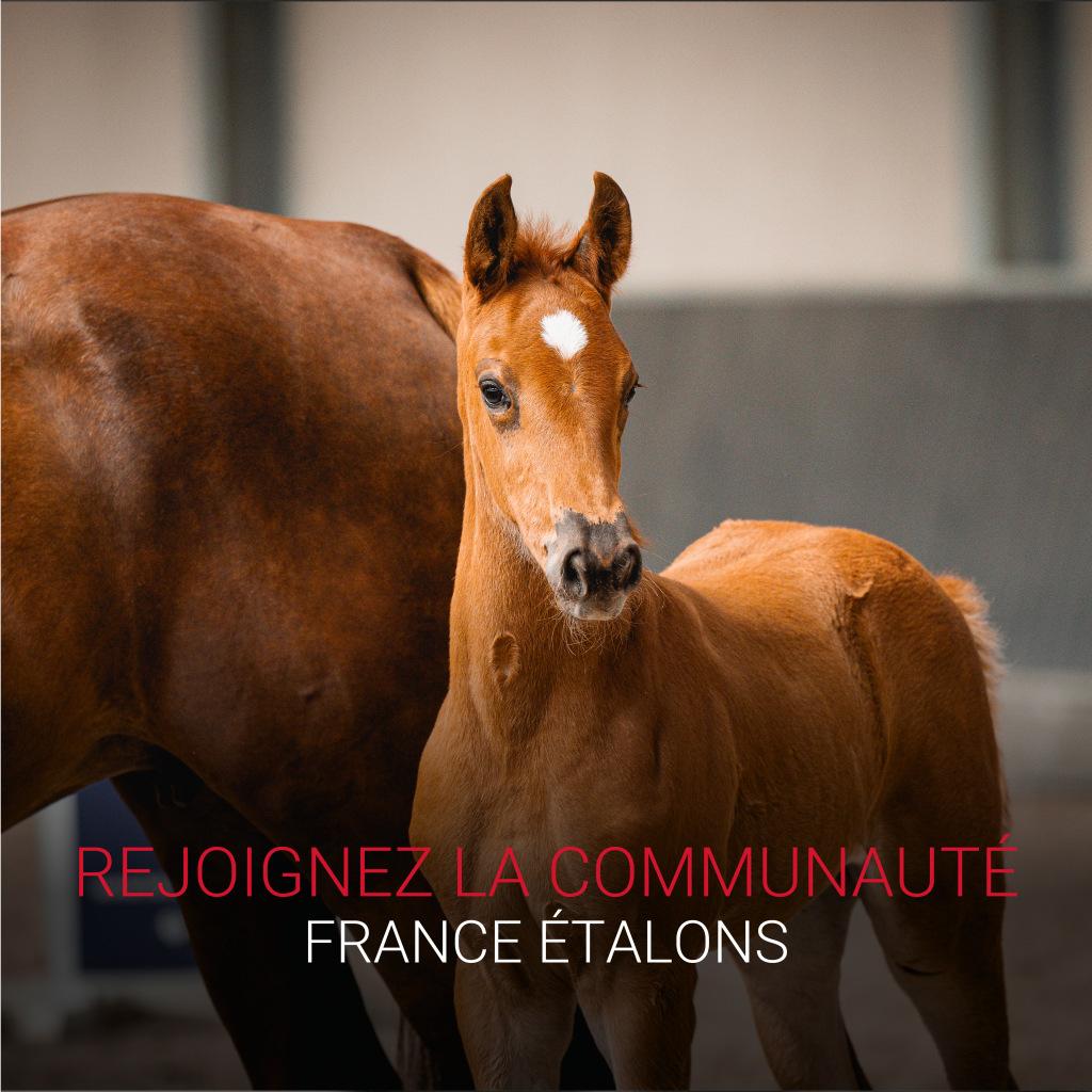JOIN THE FRANCE ÉTALONS COMMUNITY ! - France Étalons