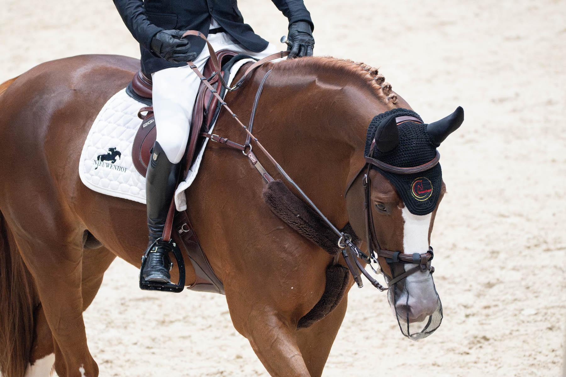 Etalon : ERMITAGE KALONE