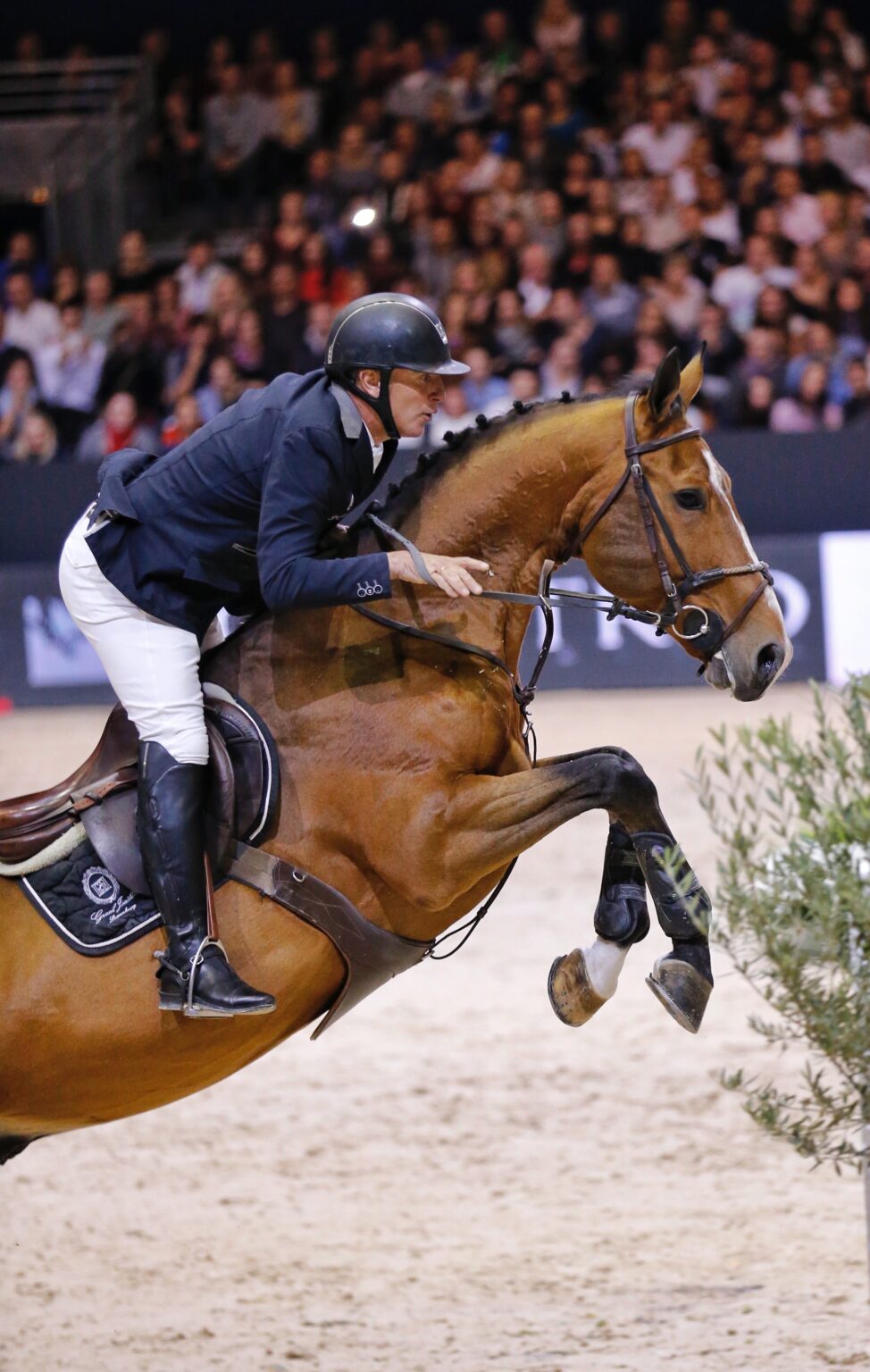 La double victoire de QOUD'COEUR DE LA LOGE & BOSTY - France Étalons